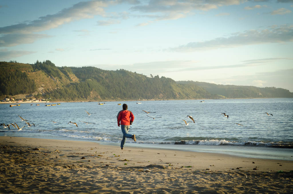 Tomé - Chile es TUYO