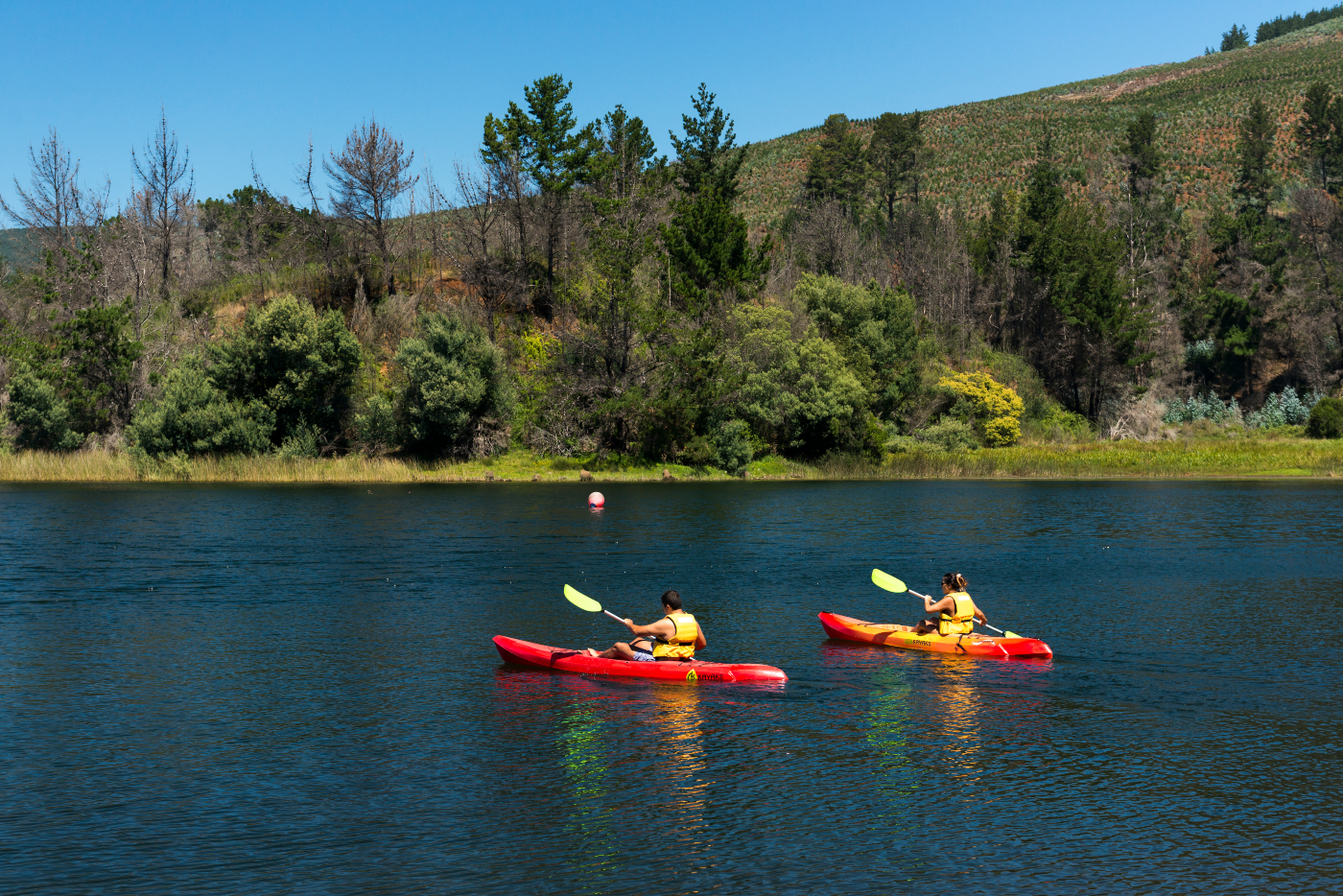 Valle de Copiapó - Región de Atacama - Chile es TUYO