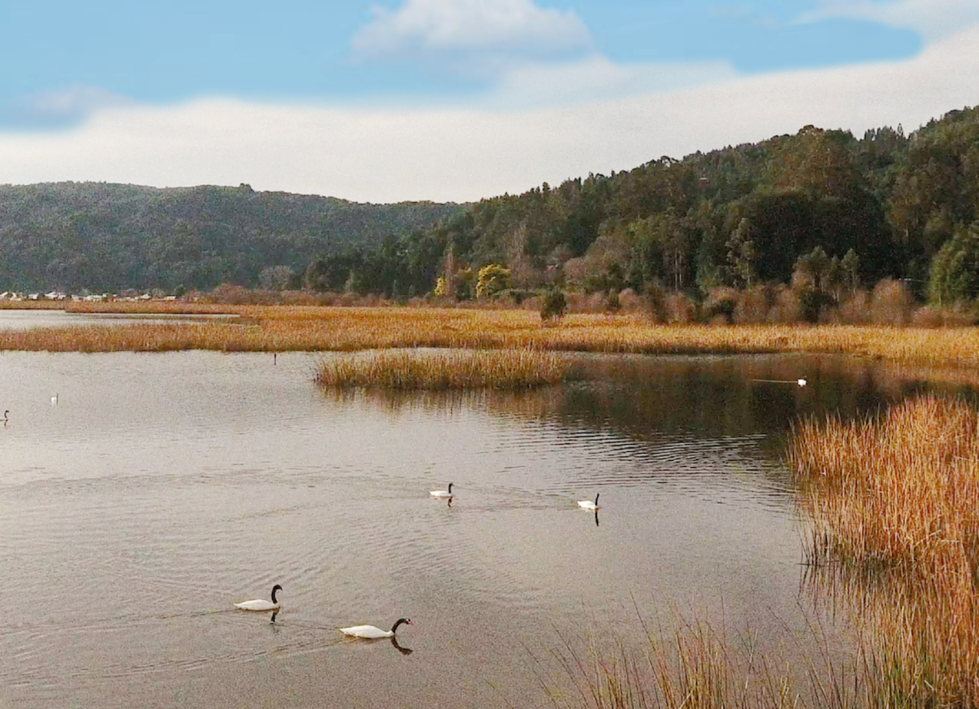 Viaja a Quillón - Disfruta de sus atractivos | Chile es Tuyo