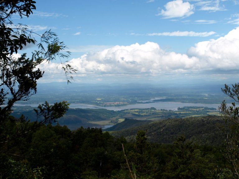 Parque-Oncol - Chile es TUYO