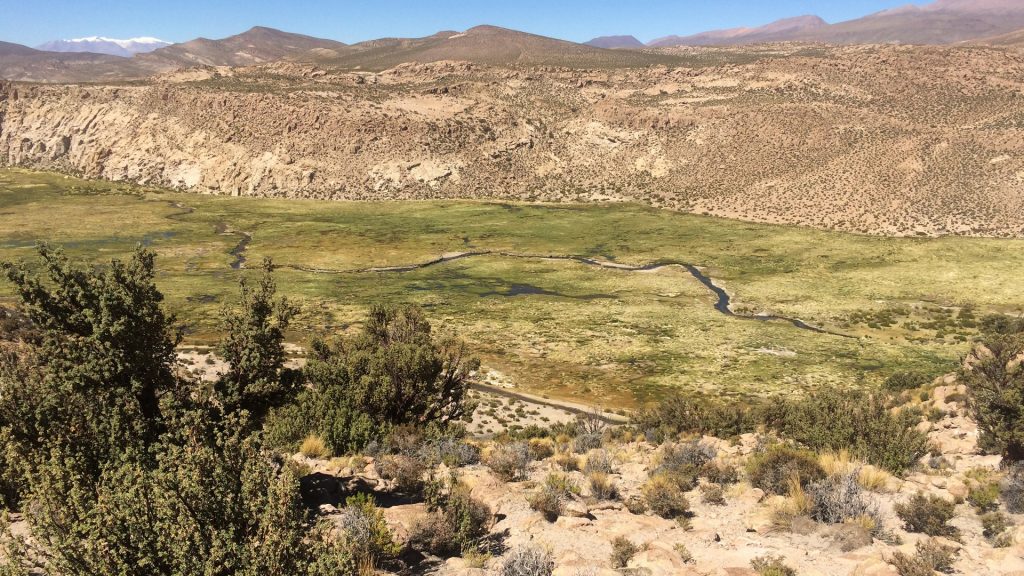 28067_huara_Archivo_Fotográfico_CONAF - Chile es TUYO