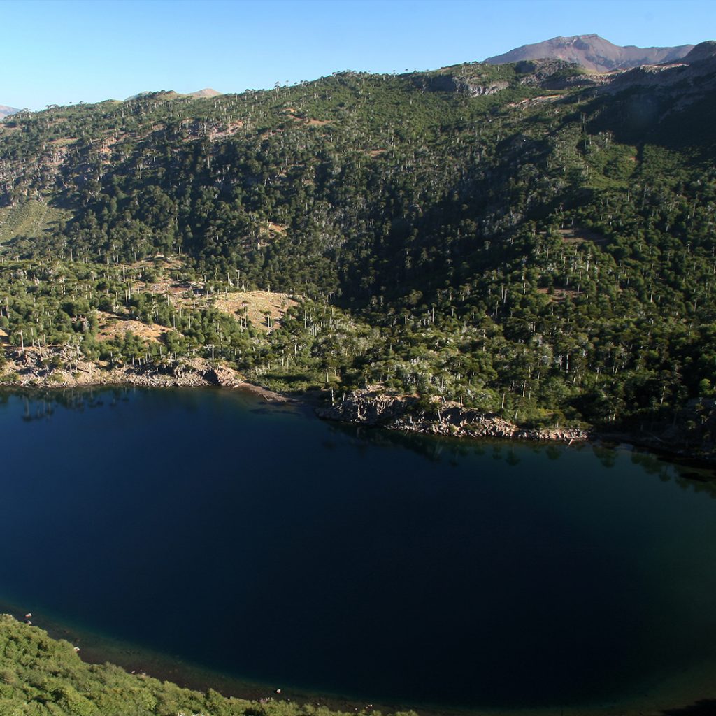 Parques y reservas de la región del Biobío - Chile es TUYO