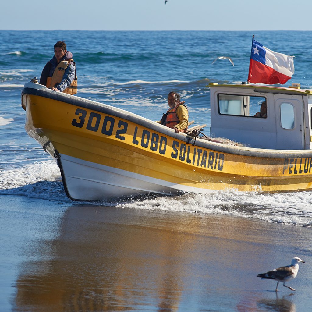 Caletas de Chile: La riqueza natural de nuestro país - Chile es TUYO