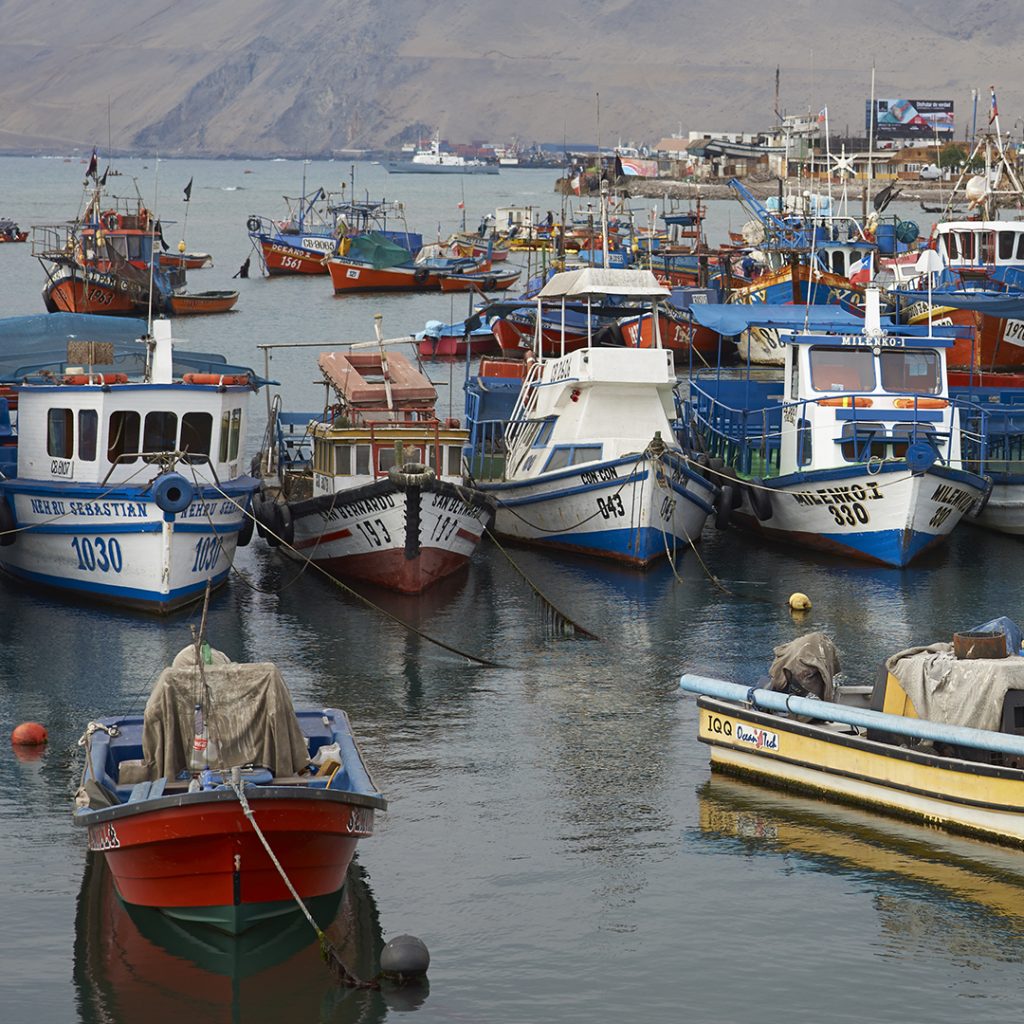 Caletas de Chile: La riqueza natural de nuestro país - Chile es TUYO