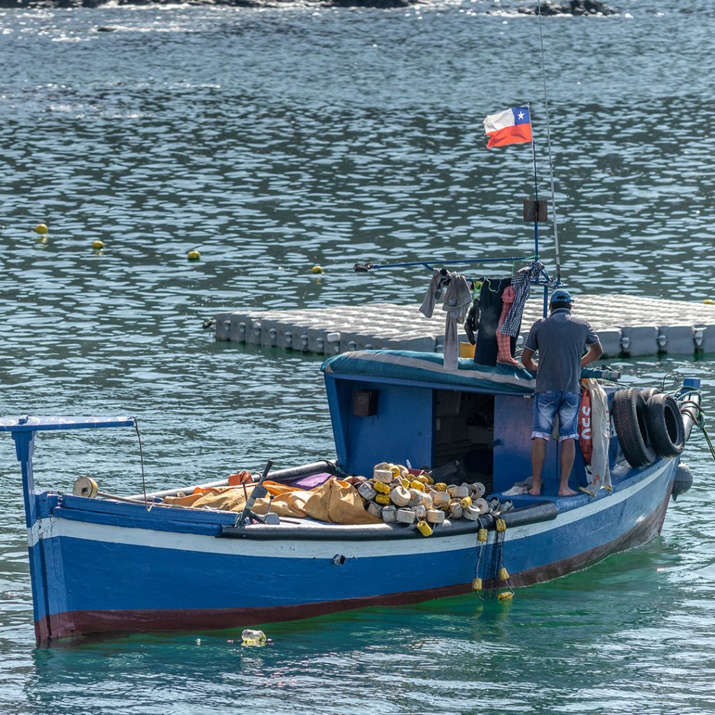 Caletas de Chile: La riqueza natural de nuestro país - Chile es TUYO