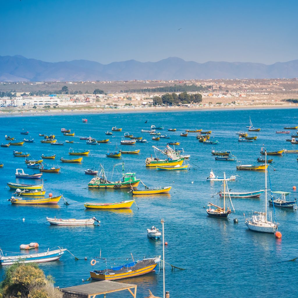 Caletas de Chile: La riqueza natural de nuestro país - Chile es TUYO