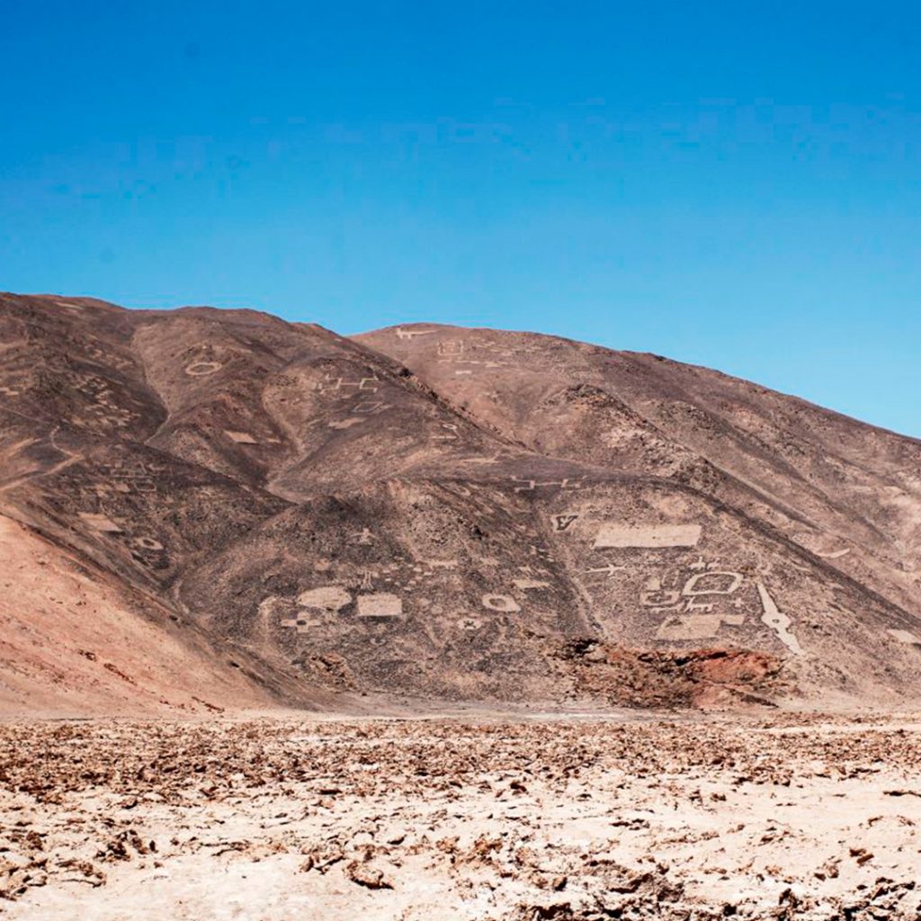 ¡4 experiencias imperdibles en la Pampa del Tamarugal! - Chile es TUYO