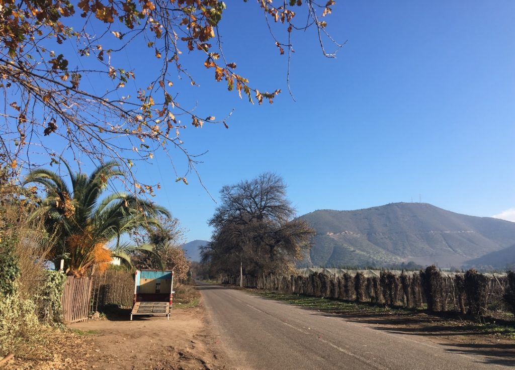 Lllay Llay - Chile es TUYO