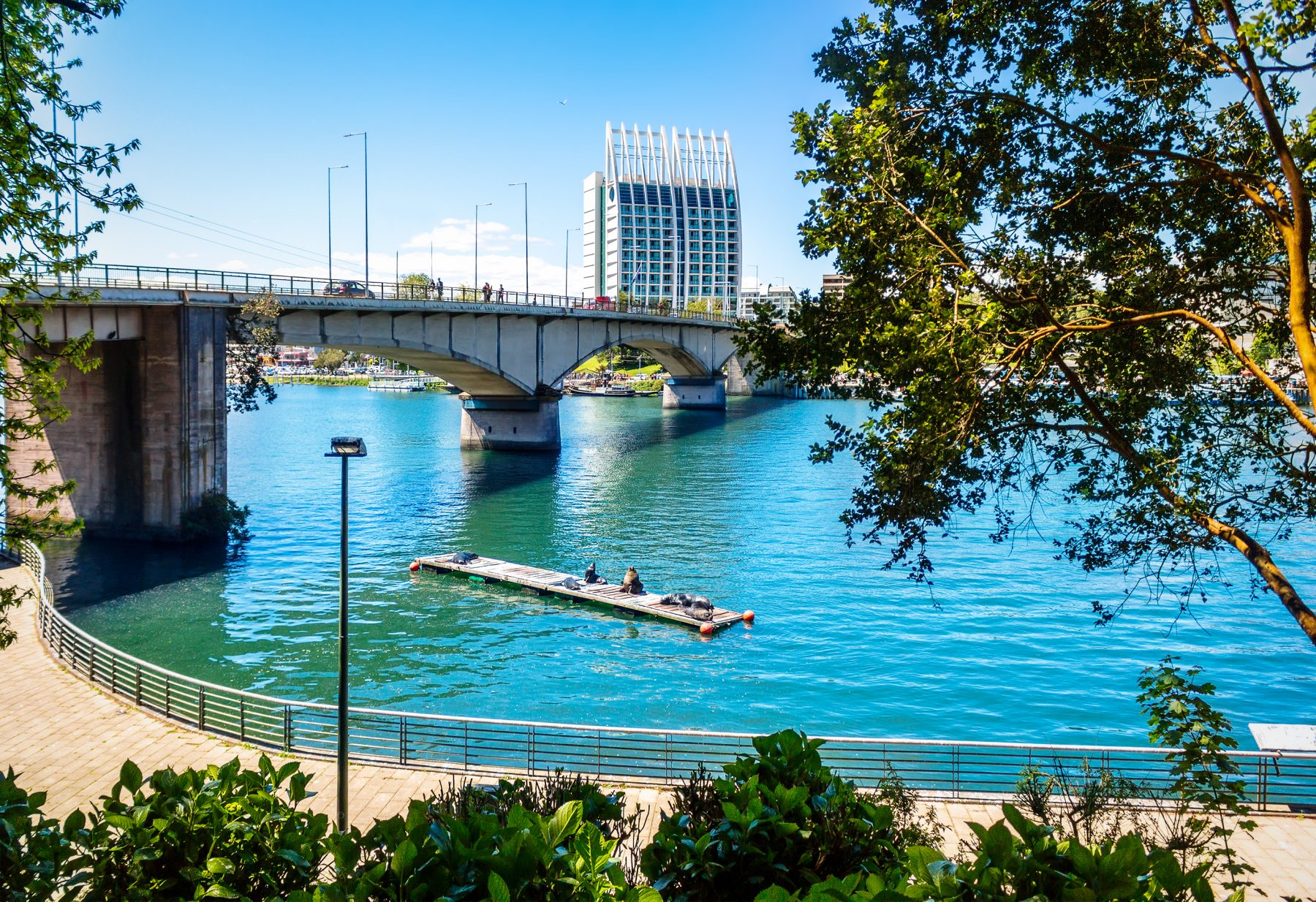 Ciudad de Valdivia: Gastronomía y cerveza artesanal en el sector Isla ...