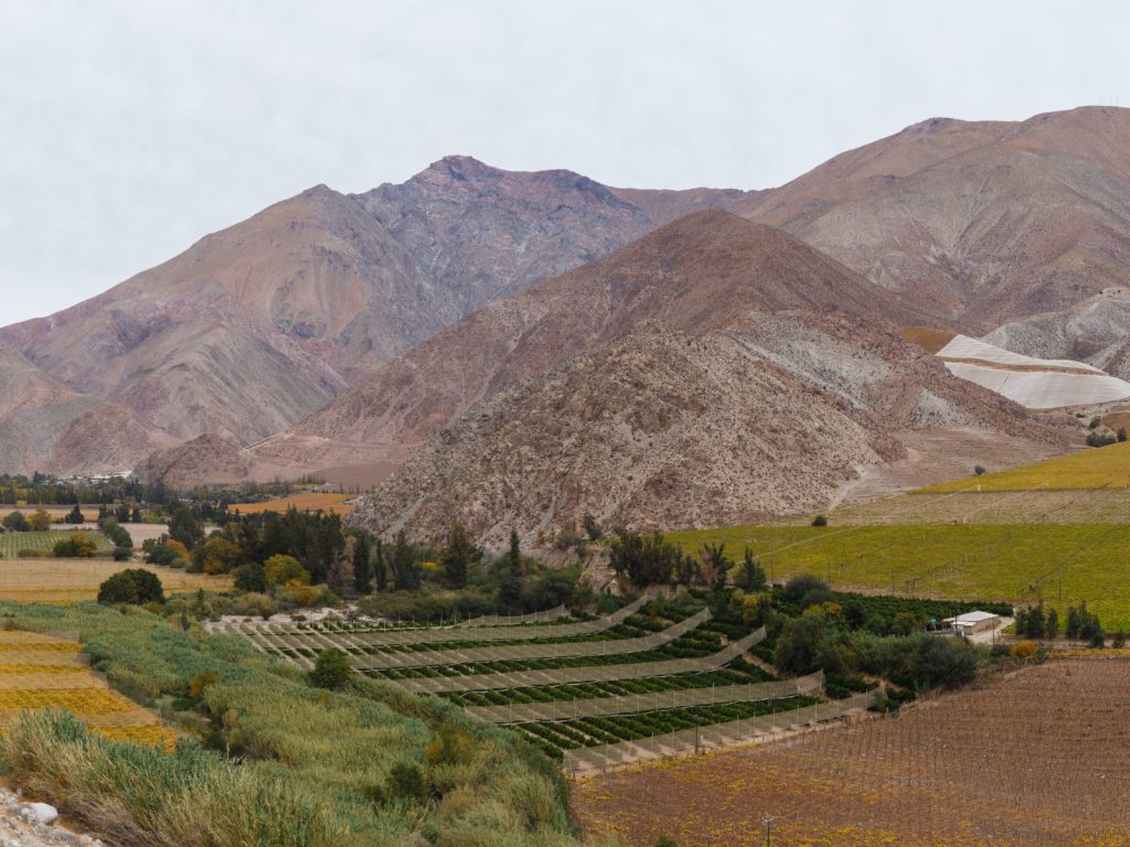 Vicuña, Cochiguaz y Pisco: qué hacer en el Valle del Elqui