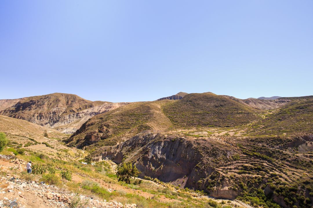 socoroma-arica-parinacota - Chile es TUYO